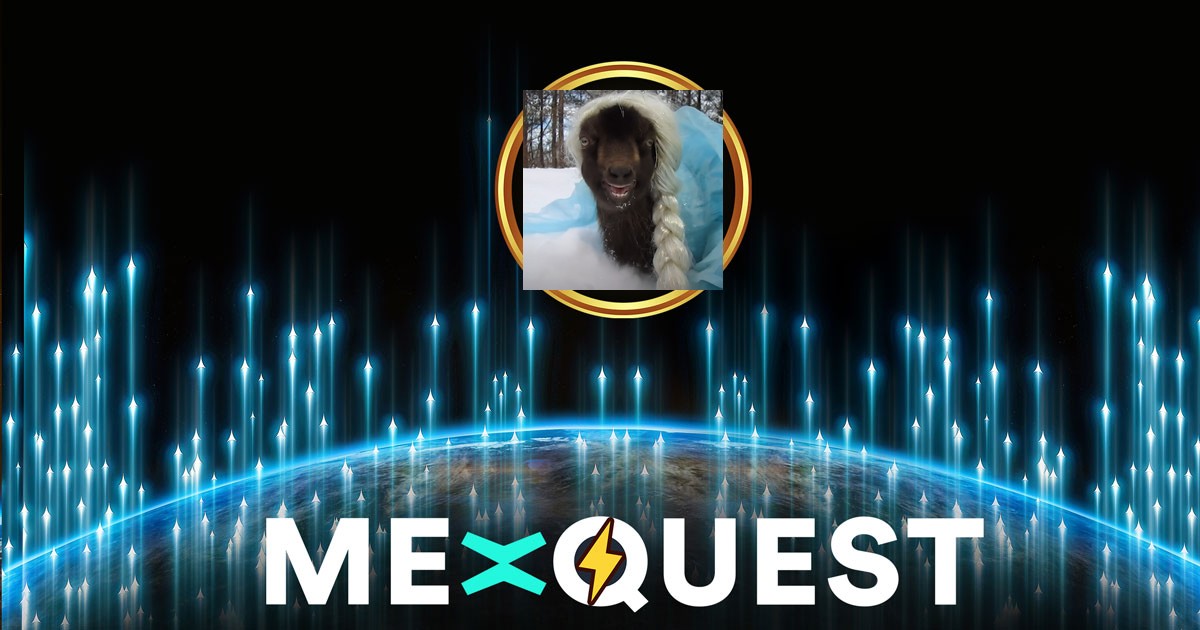 ELSA - MEX⚡QUEST